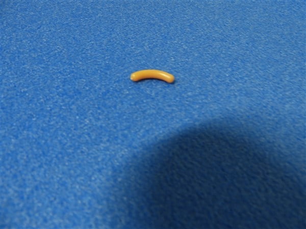 worstje – Little Dreamhouse